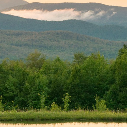 Stream Monastic Academy (Center for Mindful Learning) | Listen to Soryu ...