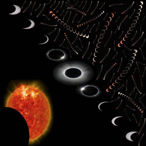 Stream Art Of The Creator Through Compassion by Moss & Microfauna ...