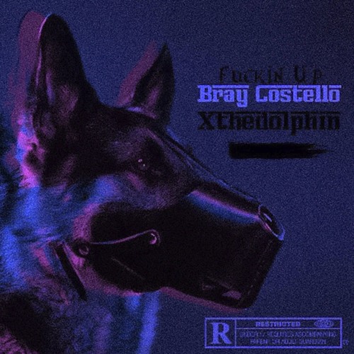 Stream Bray Costello & Xthedolphin - Fuckin' Up (Prod. 4lornboy) by ...