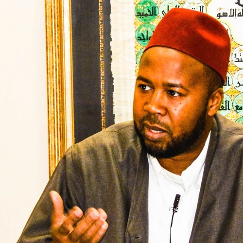 Stream Lamppost Education Initiative | Listen to Curing the Diseases of ...