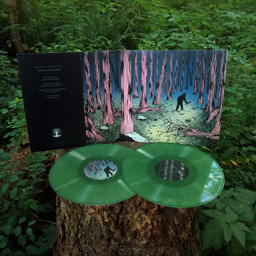 Stream Wanderwelle - The Starry Night by DEEPLY AWARE | Listen online ...