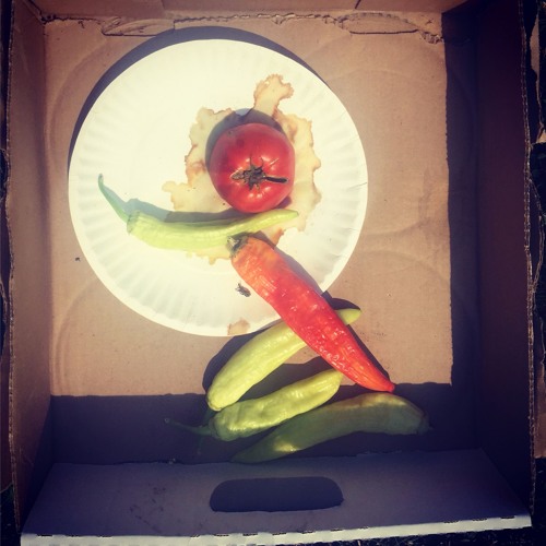 Stream Fondue Fun Run by Brick Briscoe | Listen online for free on ...