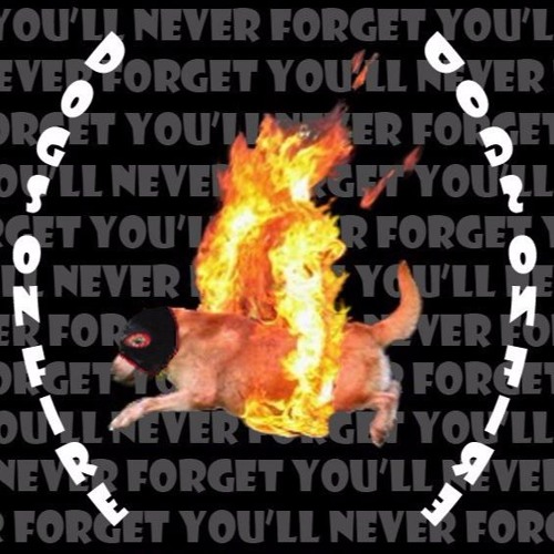 Stream Dogs on Fire | Listen to You'll Never Forget playlist online for ...