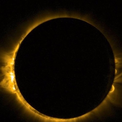 Stream MIT Representative Describes Her Personal Feelings Toward Solar ...