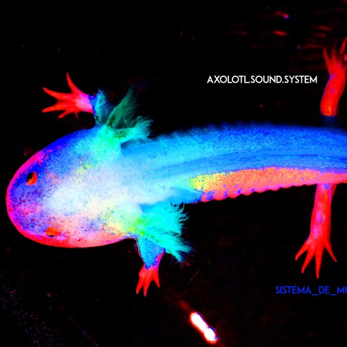Listen to playlists featuring Axolotl Sound System_JAM26082017 by ...