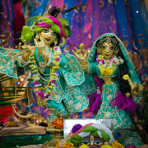 Stream Sri Radhika Stava - Radhastami 2017 by Krishna Kshetra Swami ...