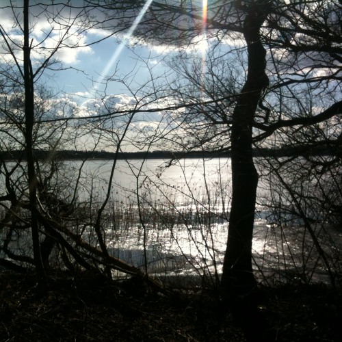 Stream Duerne Flyver by calebmusic | Listen online for free on SoundCloud