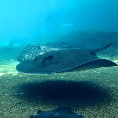 Stream LANDING by V02 MFEZI | Listen online for free on SoundCloud