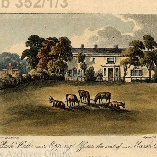 Stream episode Family background; move to Epping; starting work at ...