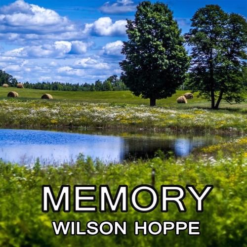 Stream Storm - Wilson Hoppe by Wilson Hoppe | Listen online for free on ...