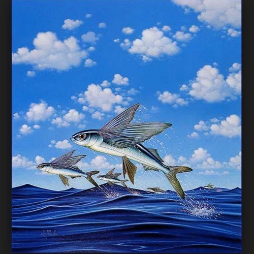 Stream The Ancient Myth of the Flying Fish by bennyb543 | Listen online ...
