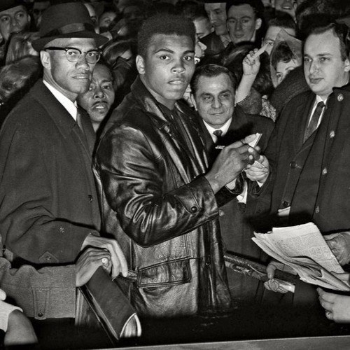 Stream Malcolm X 1965 CBC Interview by Tphoenixmusic | Listen online ...