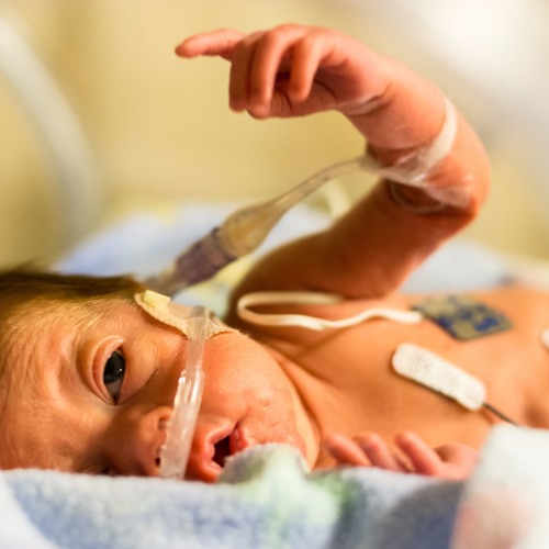 Stream Jochen Profit: Unequal hospital care for babies (2017) by ...