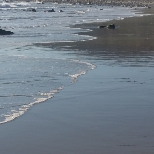 Stream The Miracle Of The Walking Fish 5. Algo En El Sumidero (2011) by ...