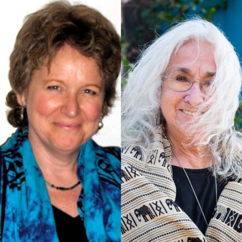 Stream Carolyn Brigit Flynn in conversation with Deena Metzger by ...