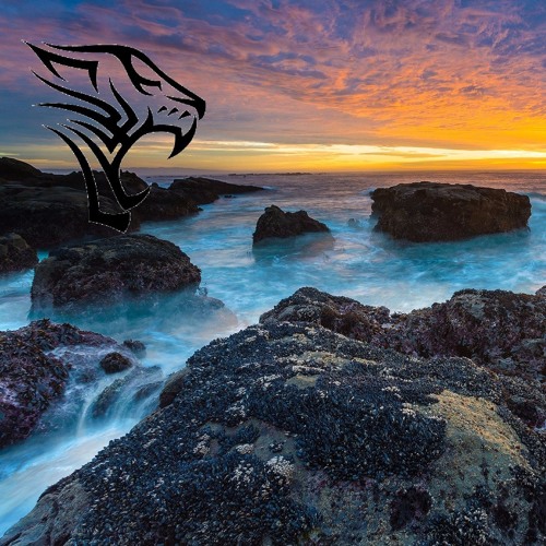 Stream TULE - Fearless [NCS Release] by NoCopyright Hope | Listen ...