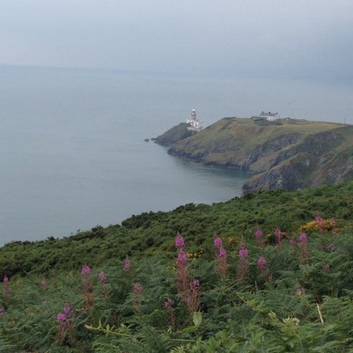 Stream Girl from the Sunshine Coast by Logan Malik | Listen online for ...