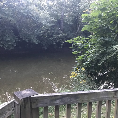 Stream Sean R-H | Listen to Field Recordings - Sound Map playlist ...