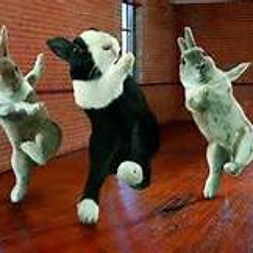 Bunny Party (English)- Schnuffel Aka Snuggle Bunny Singing The Jamster ...