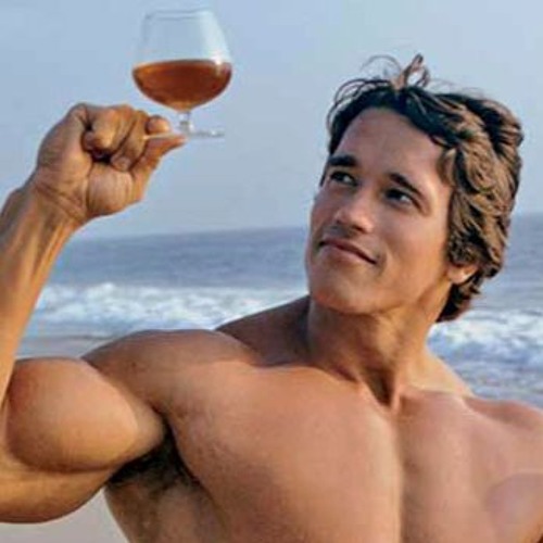 Stream #86 - Arnold Schwarzenegger Can't Stop, Won't Stop by The ...