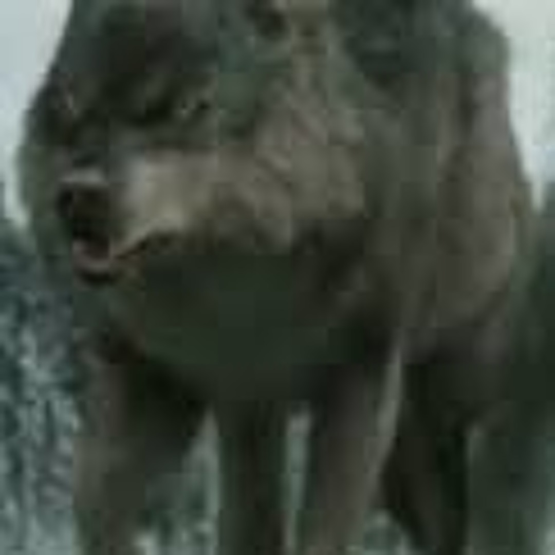 Stream Danny Gokey - The Comeback by Summer Cargile | Listen online for ...