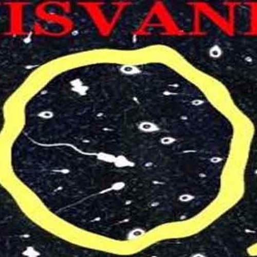 Stream Nisvanis - Stella Artois (LYRICS) by NISVANIS Mongolian | Listen ...