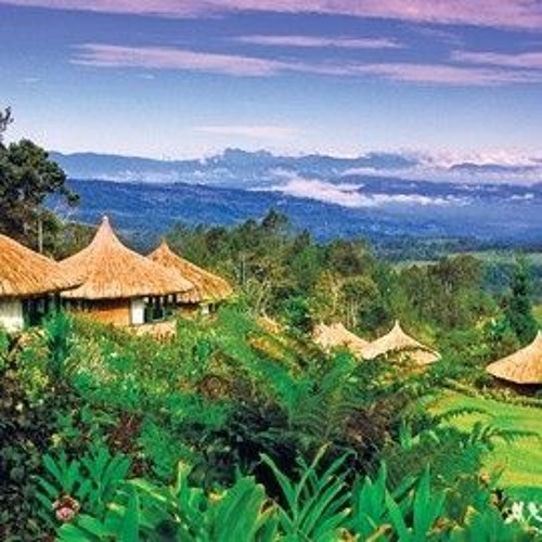 Stream AMBAI SIMBU - PNG Music by FRANK PNG | Listen online for free on ...