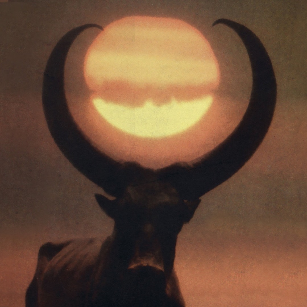 Stream Beasts In The Sun by 0db (beats) | Listen online for free on ...