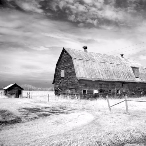 Stream Someday We'll Move To A Small Farm - Linford Detweiler by Mac ...