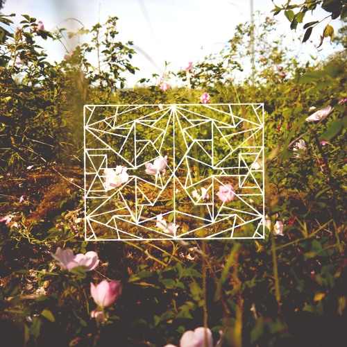 Stream 10. Age Structure by Nifkin | Listen online for free on SoundCloud