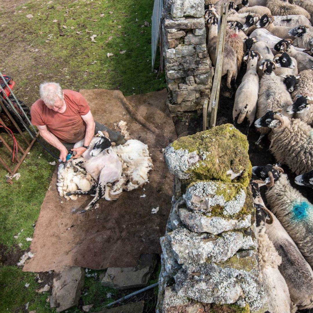 Stream episode Voices from the Land: Raymond Calvert, Hoggarth Farm ...