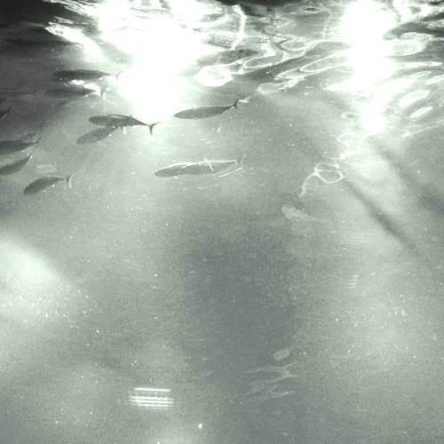 Stream spume by 3branches | Listen online for free on SoundCloud