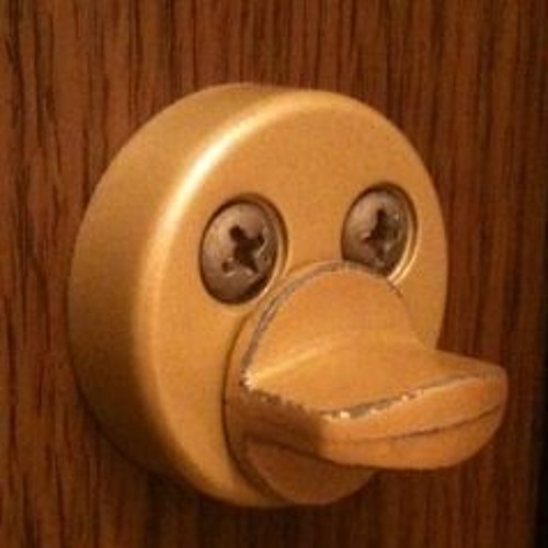 Constipated Duck