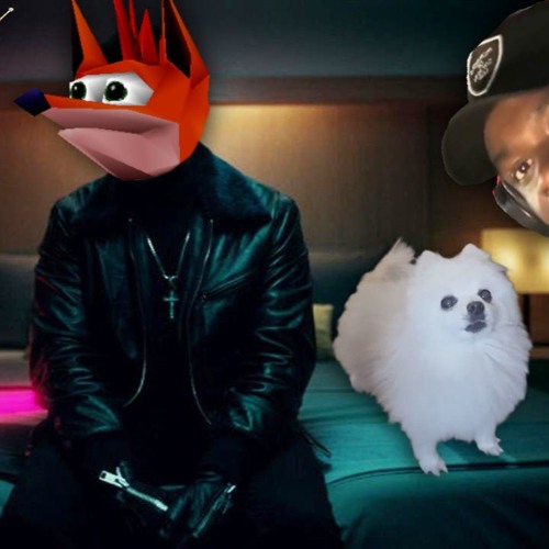 Stream Memes - Starboy | Crash Bandicoot, Gabe the Dog, Big Ben ...