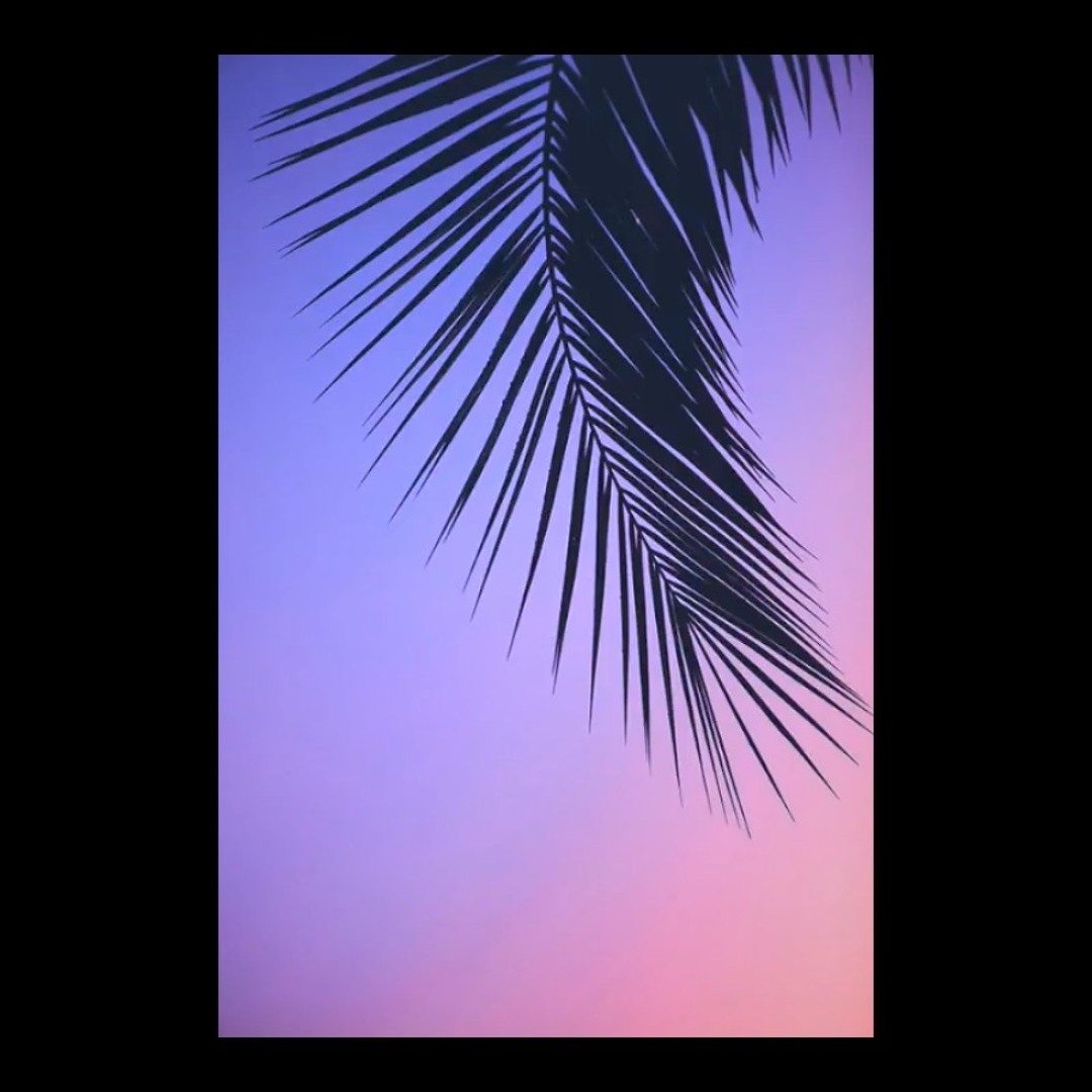Listen to playlists featuring Jordan Solomon ~ Pardon by ☆ 𝐂𝐎𝐍𝐍𝐎𝐑 𝐕𝐀𝐍 ...