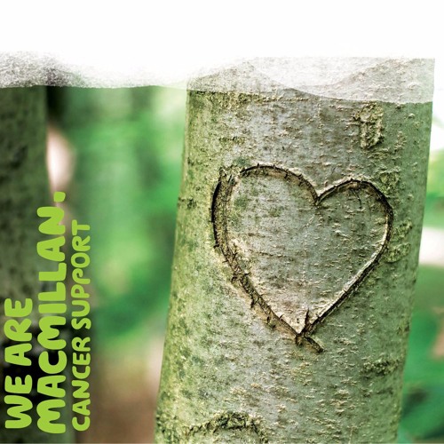 Stream CD2 Track 2 Who Else Can Help? from Macmillan Cancer Support ...