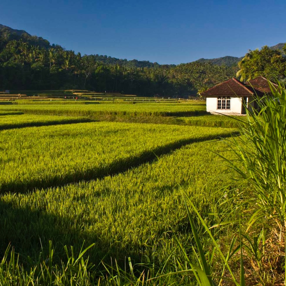 Dr Jeff Neilson - Food Sovereignty by Talking Indonesia