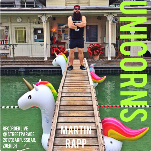 Stream UNICORNS by Martin Rapp | Listen online for free on SoundCloud