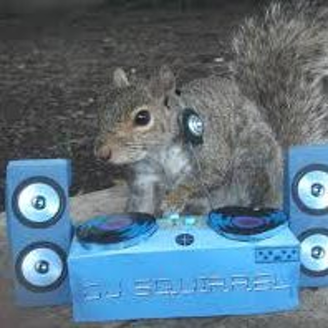 Stream Dj El Squirrel Tupac Remake by Dj El Squirrel | Listen online ...