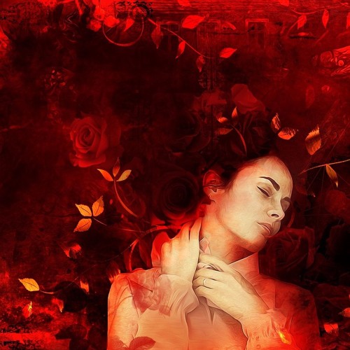 Stream WILDFLOWERS - Sarah McIntosh & Rolf Anton Krueger by Rolf Anton ...