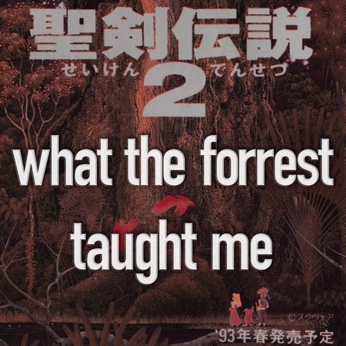 Stream Matthew Callis - what the forrest taught me by superfamicom ...