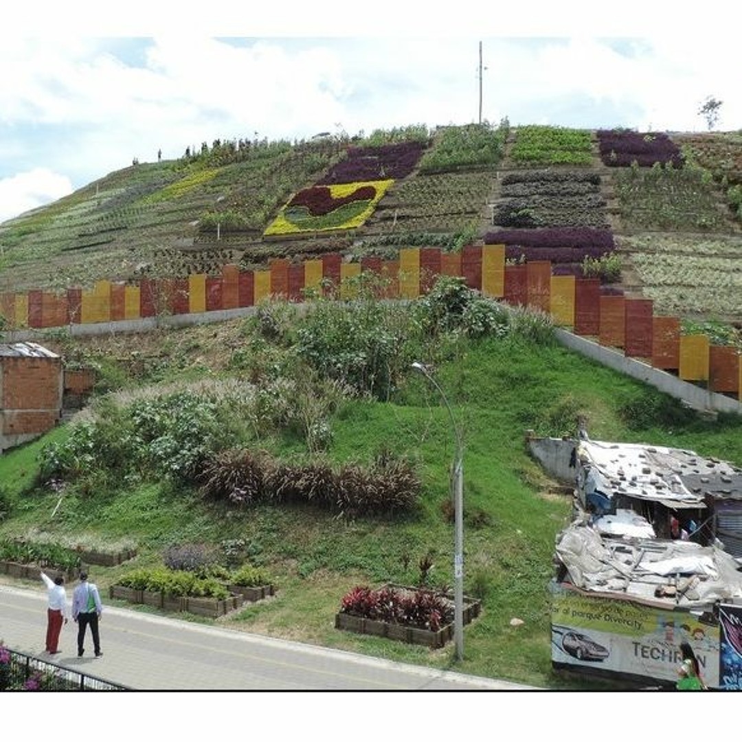 Stream El Morro, un ejemplo de como puede florecer El Oásis después del ...