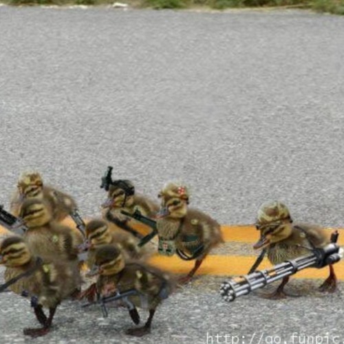 Stream Legion of Ducks Mashup by A shinobi | Listen online for free on ...