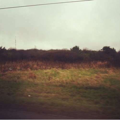 Stream Say Something (A Great Big World cover) - Bridget DeMarse by ...