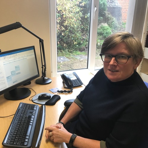 Stream episode Interview with Professor Jan Burns by sonny snelling ...