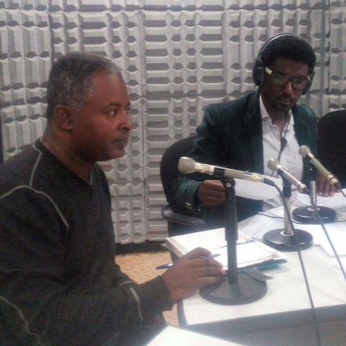 Stream ብስራት 101.1FM ሬድዮ (Bisrat 101.1FM Radio) | Listen to አውቶ ሴፍቲ ...
