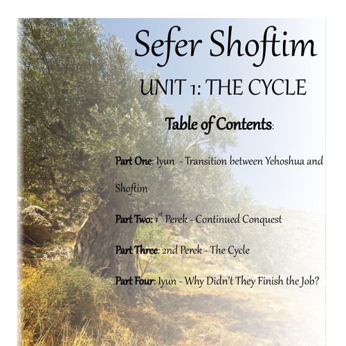 Stream Rabbi Trump | Listen to The Cycle of Shoftim playlist online for ...