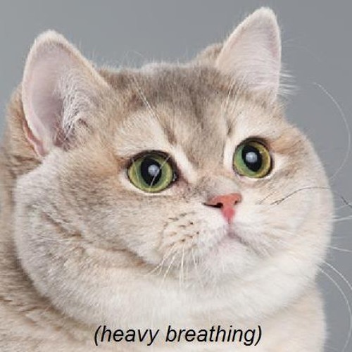 Stream Old Greg (Funk In The Box) by PNUT BUTR | Listen online for free ...