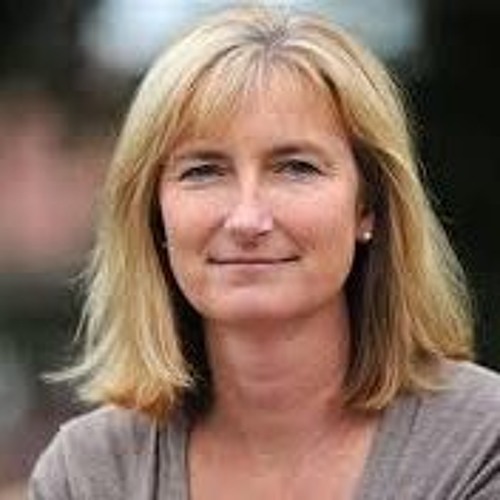 Stream Sarah Wollaston: The NHS and social care under a minority ...