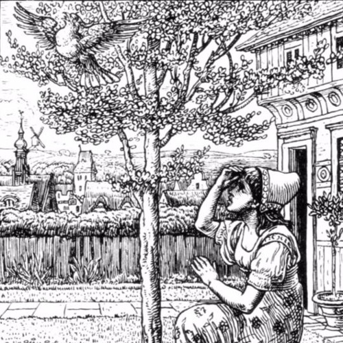 Stream episode The Juniper Tree by Settle Stories podcast | Listen ...